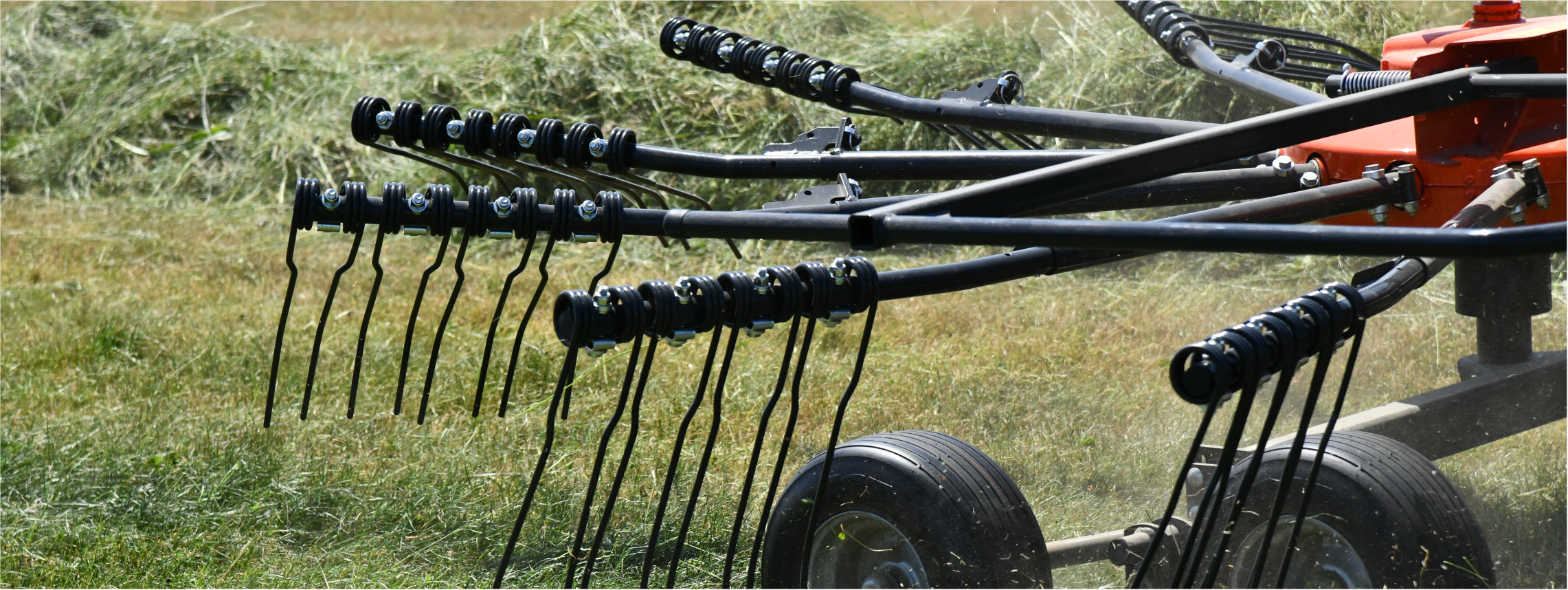 Biznes na wsi: coraz mniej czasu na złożenie wniosku o premię - WODR Poznań